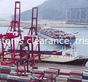 Seehog Ningbo supermarket sample customs clearance agent_one day fast clearance service
