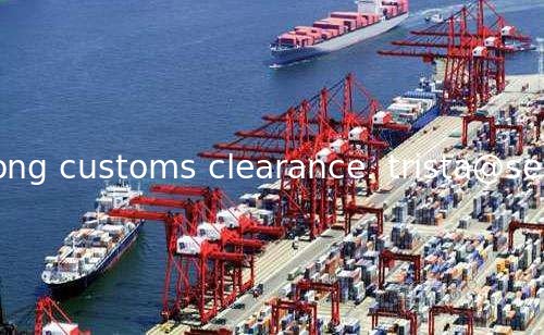 Seehog Ningbo supermarket sample customs clearance agent_one day fast clearance service