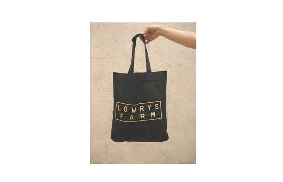 Attractive portable Reusable non woven Cloth shopping bag For exhibition