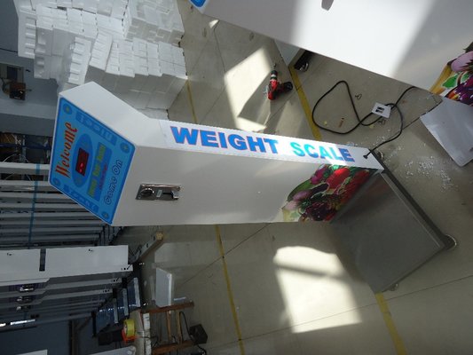 WM-3 Manufacturer of Weighing Scale Digital Electronic Weighing Platform Floor Scale digital weighing scales 500kg