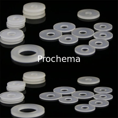 PVDF  gasket