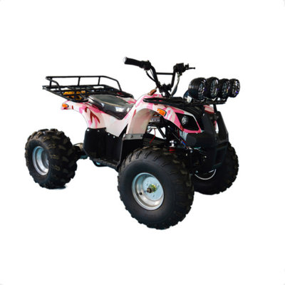 Own factory produced high quality motorcycle powered racing beach buggy 500w 80A for sale