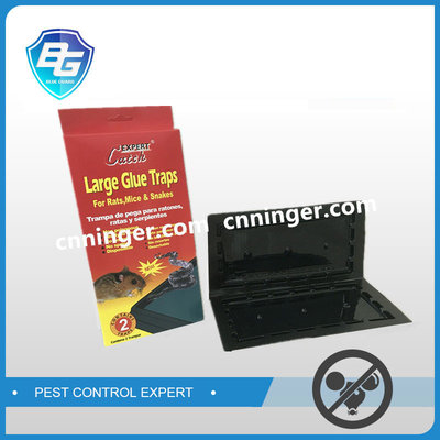 Plastic board rat and mouse glue tray glue trap NINGER supplier