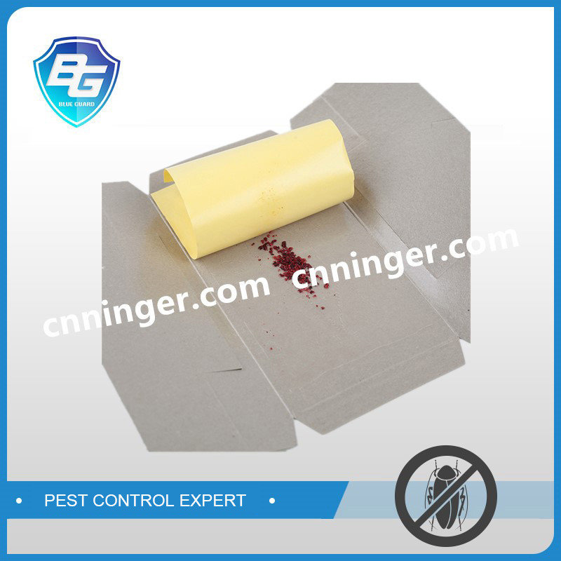 Easy Catching Non Poisonous Cockroach Killer Glue Trap supplier