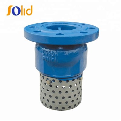 Ductile iron water pump flanged Foot Valve with strainer