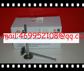 China Cummins 6L8.9 Engine Intake and Exhaust Valve 3942588/3942589 supplier