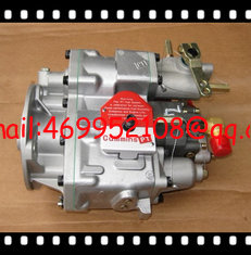 China CUMMINS FUEL PUMP 4076956 E790,KTA19 FUEL PUMP,CUMMINS ENGINE PARTS supplier