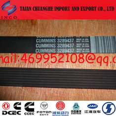 China CUMMINS v ribbed belt 3289437, CUMMINS ENGINE PARTS supplier