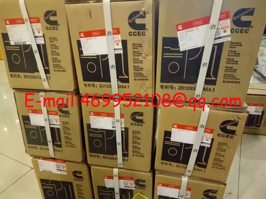 Original Cummins M11 Fuel Injection Pump,Genuine Cummins Diesel Engine Fuel Pump 4951544 supplier