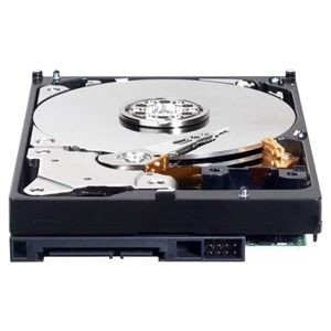 3.5 inch SATA Hard Disk Drive 500gb for Desktop and Personal Computer W5000AAKX