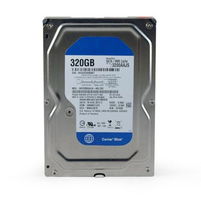Caviar Blue SATA Hard Disk Drive 320gb for desktop computer HDD W3200AAJS