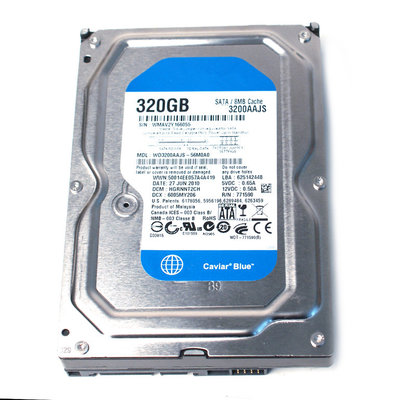 Caviar Blue SATA Hard Disk Drive 320gb for desktop computer HDD W3200AAJS