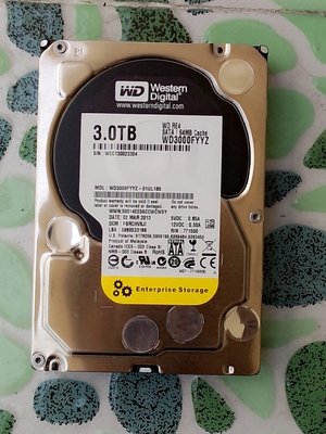 High performance 3 TB Internal Server Hard Disk / 3.5 HDD WD3002FAEX
