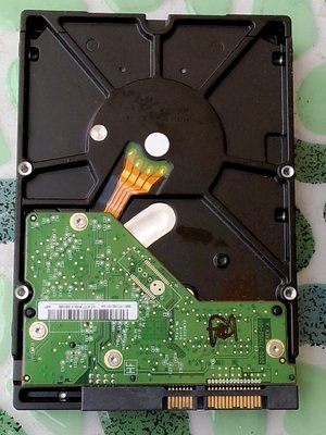 Enterprises 1TB Server Hard Disk For Desktop , 7200RPM WD Caviar Black drives