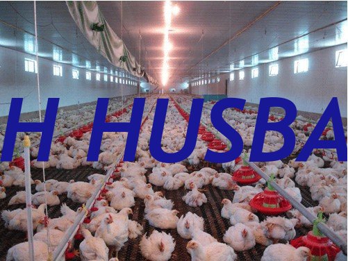 Evaporative cooling pad with frame & poultry cooling pad