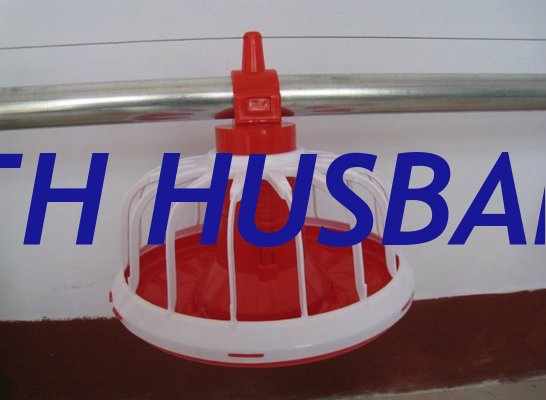 automatic poultry equipments of feeder