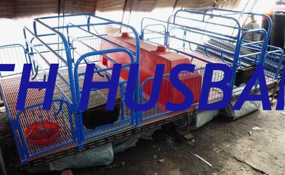 pig breeding equipment 