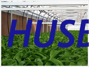 cellulose poultry /greenhouse farm cooling pad 