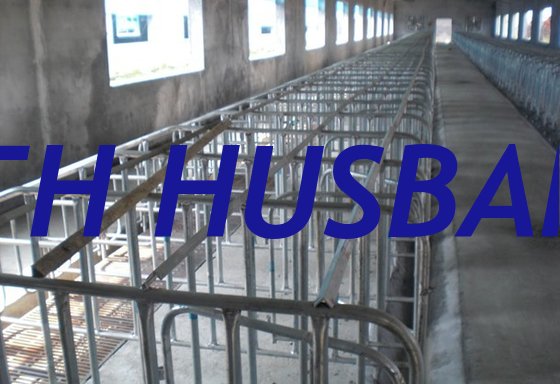 Pig project-Individual stall