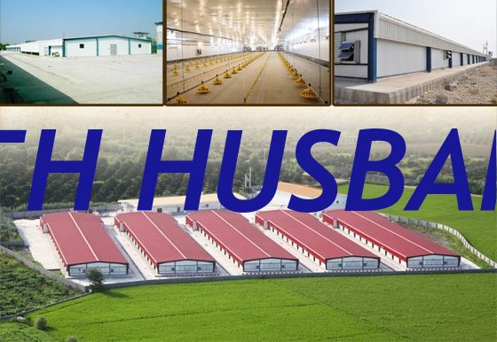 evaporative ventilation equipment for chicken farm