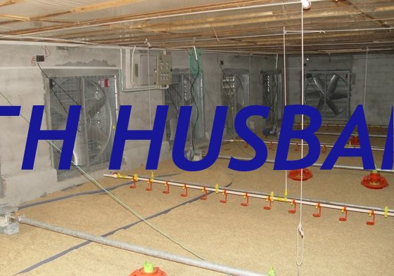   exhaust fan Ventilation Fan Poultry Cooling Pad For Farm