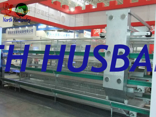 chicken egg layer cages