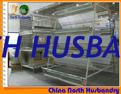 Chicken Cage/ Poultry Battery / 90 Layer Cage