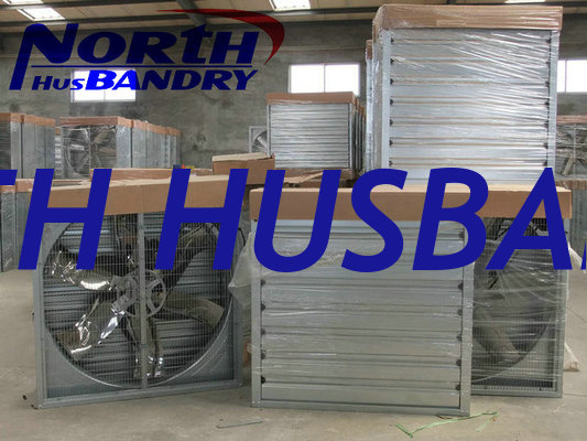 Oman Best Swung drop hammer exhaust fan cheap poultry fan