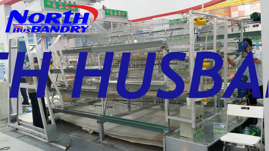 Good quality farmland poultry house equipment