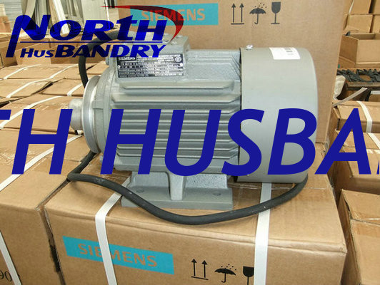 butterfly ventilation cone fan/ husbandry fans with siemens motor