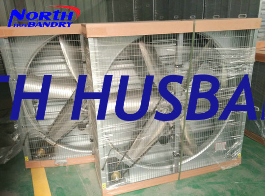 Wholesale automatic high-density chicken cage system