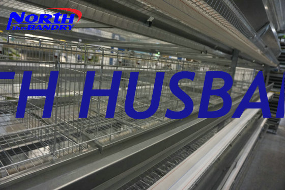 cheap galvanized welded wire high quality poultry chicken cage