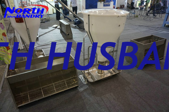 Automatic pig feeding system/pig feeder/pig dispencer
