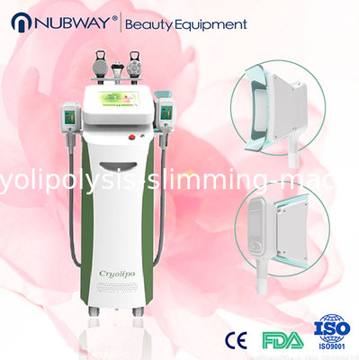 Cool Tech Fat Freezing Machine Cryolipolysis weight loss body shapping machine