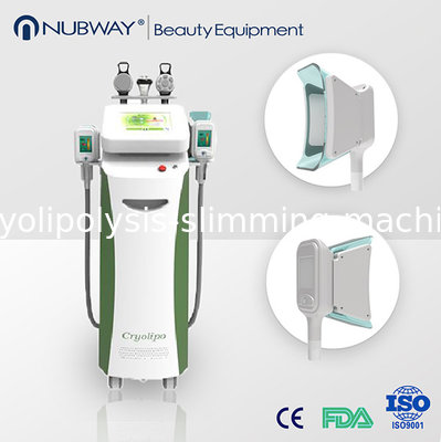 Strong Cooling Cryolipolysis Slimming Machine big handle cryolipolysis machine