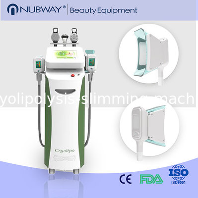 Fat Freeze cryolipolysis slimming machine cryolipolysis machine two handles work together