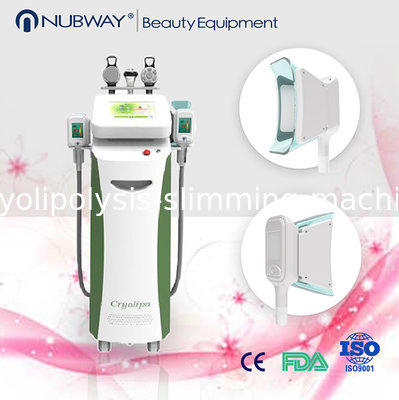Cryolipolysis Machine Fat Freezing For Body Slimming with RF cavitation handle