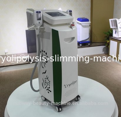 slim freezer weight loss / fat freeze machine /cool tech fat freezing machine