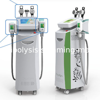 multifunctional cryolipolysis machine freezing fat machine / cryotherapy device medical CE