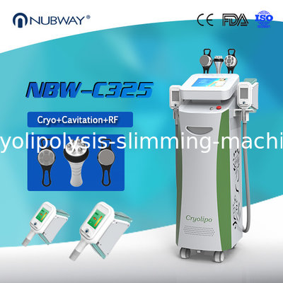 vertical cryolipolysis slimming body lose weight fat freezing machine