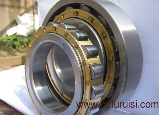 Cylindrical Roller Bearings N202 NF202 NJ202 NU202 Roller Bearing