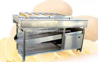 China Automatic Cutted Potato Brush Washing Machine with Spray Cleaning supplier