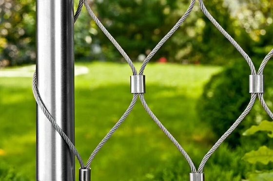 Stainless steel rope mesh frame