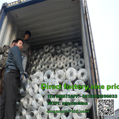 glavanized wire fixed knot wire fence ,farm field fence, cattle wire fence, hinge joint  fence, sheep wire fence