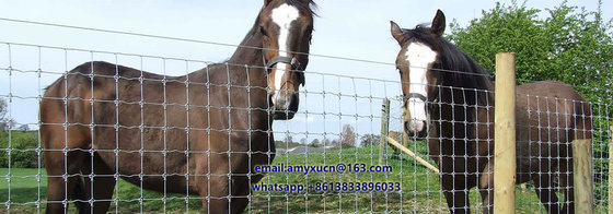 Fencing, Field Fence, Horse Fence, Welded Wire, Barbed wire，Fixed Knot Game & Cattle Fence for sale