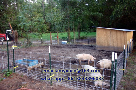 cheaper pvc coated Agricultural Fencing Wire Fencing Stock ,HR Fencing sheep fence wire, goat fenceing wire for sal