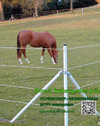 Wire Stock Fencing 0.8m x 50m C8/80/15 - Pig Lamb Sheep Dog RABBIT FENCE FOR SALE