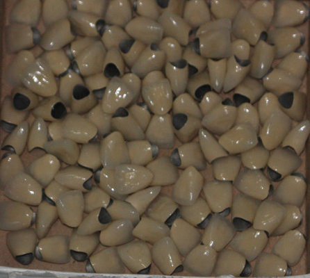 Co-Cr Alloy Material Dental PFM Crown Porcerlain Fused to mental