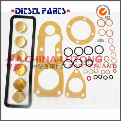 Bosch Ve Pump Rebuild Kit 1 417 010 003 800006 For Diesel Pump Repair Kits
