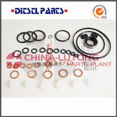 Bosch Fuel Pump Repair 2 447 010 004 For Injector Pump Rebuild